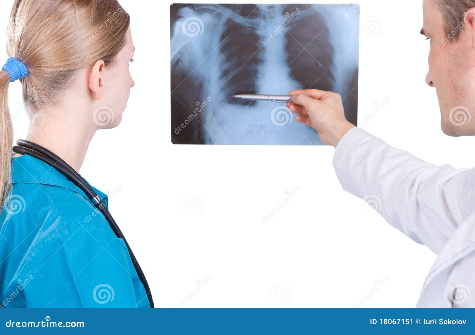 X-ray stock image. Image of isolated, practicing, caucasian - 18067151
