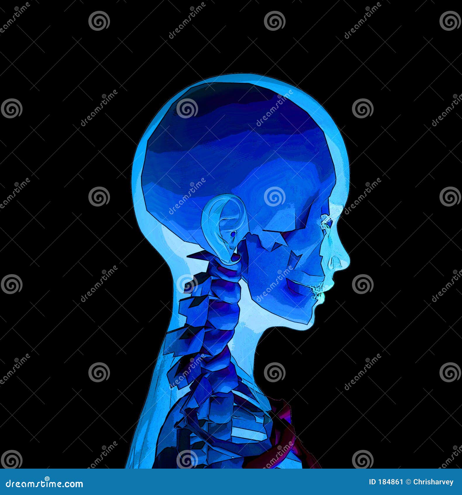 Skeleton Lady Profile Stock Illustrations – 6 Skeleton Lady Profile ...