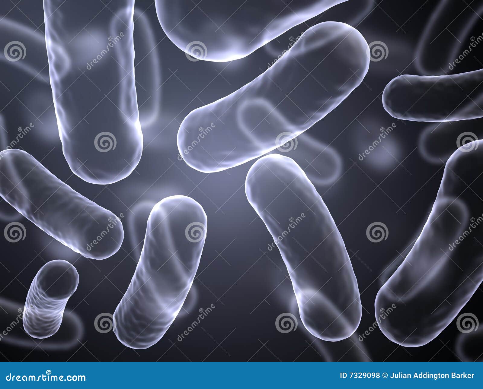 Bacteria Cells With Rough Texture Royalty-Free Stock Image ...