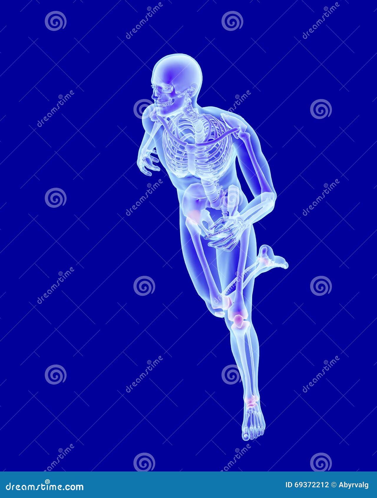 Anatomy Of Running Human Body, Muscles- 3D Rendering Royalty-Free Stock ...