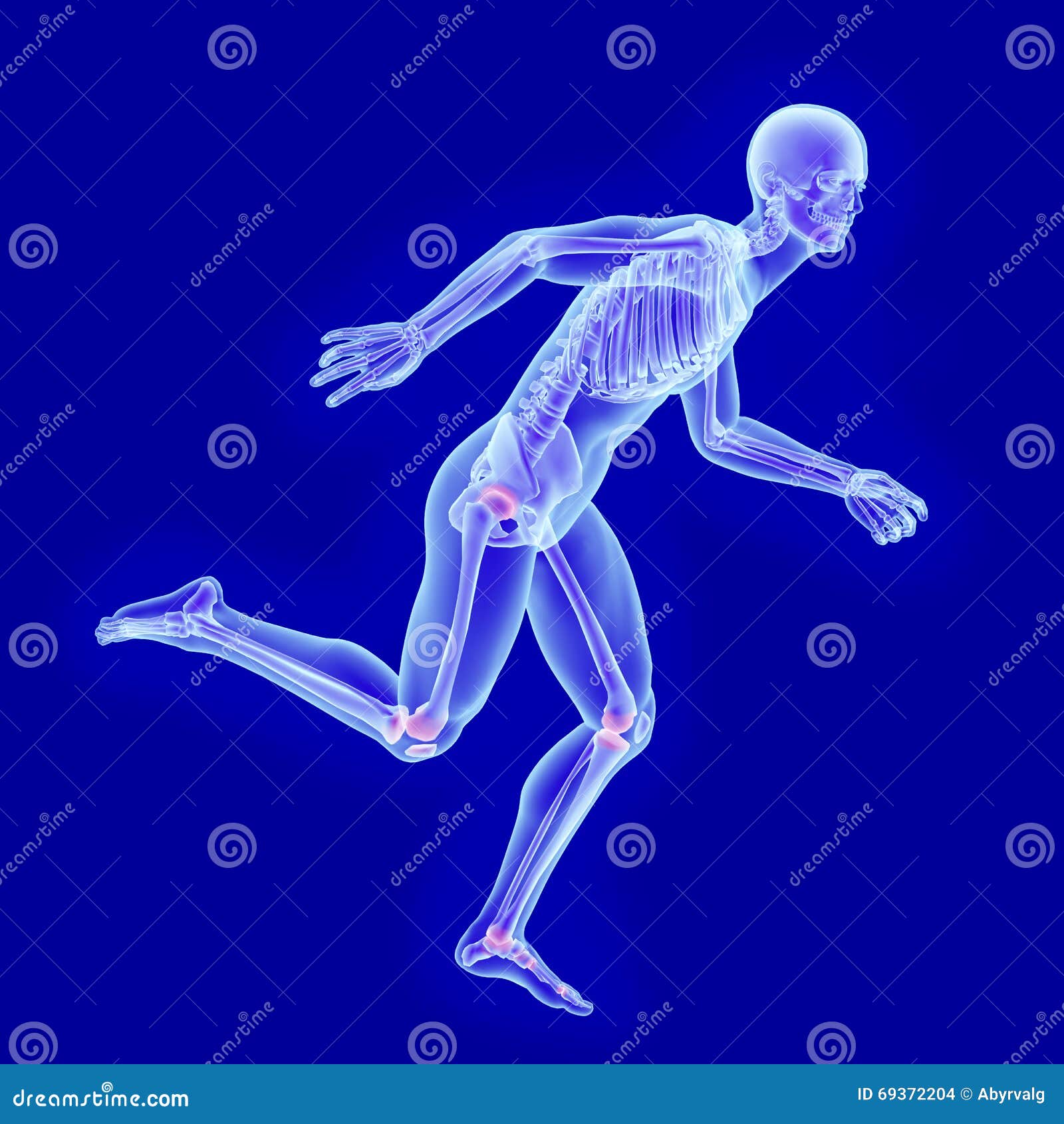 Anatomy Of Running Human Body, Muscles- 3D Rendering Royalty-Free Stock ...