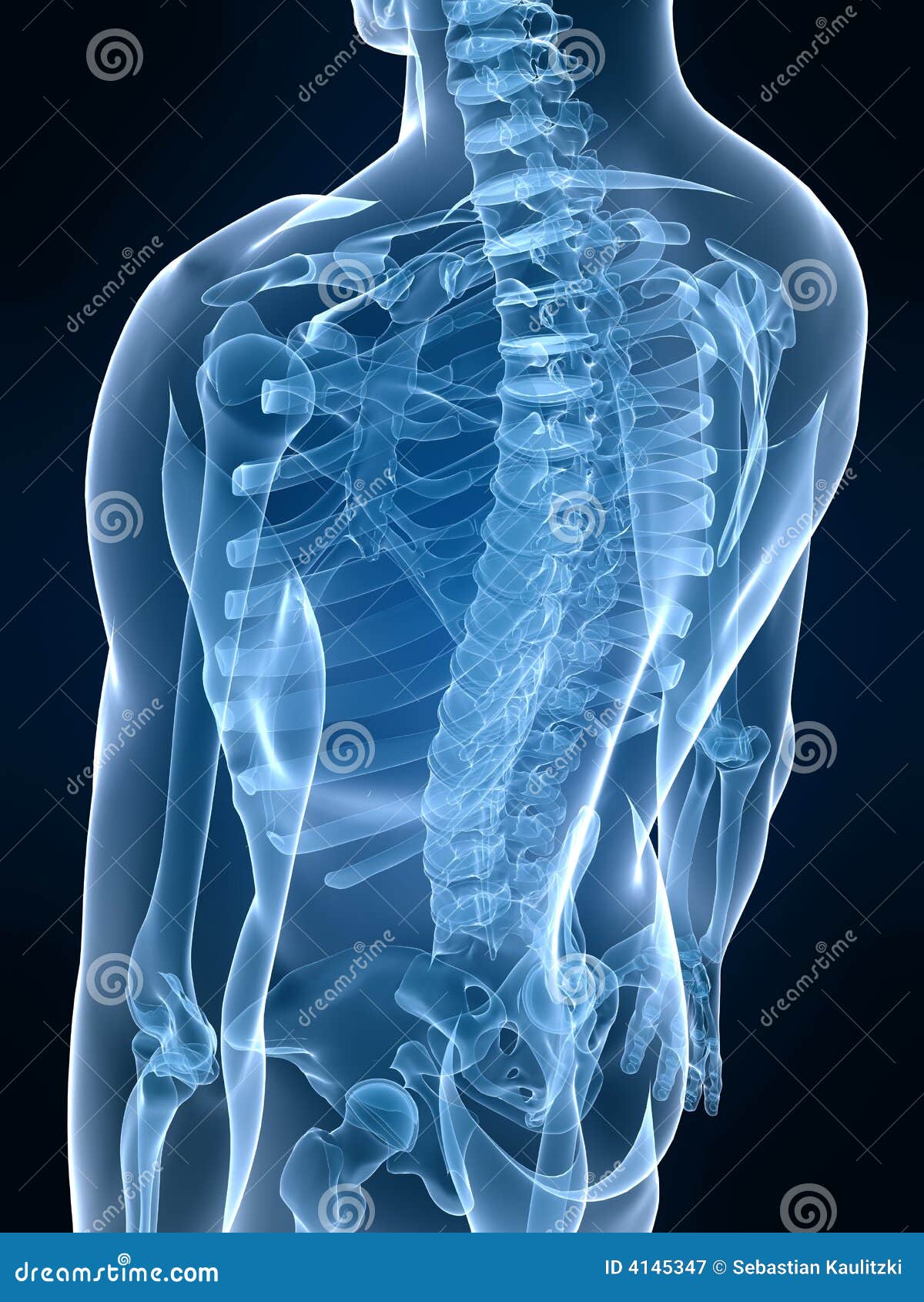 X-ray Back Royalty Free Stock Photography - Image: 4145347