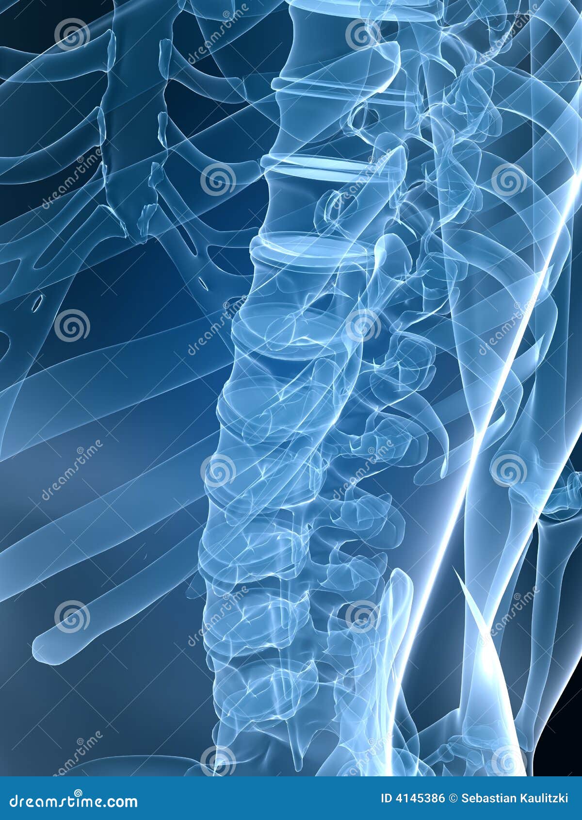 X-ray back stock illustration. Illustration of health - 4145386
