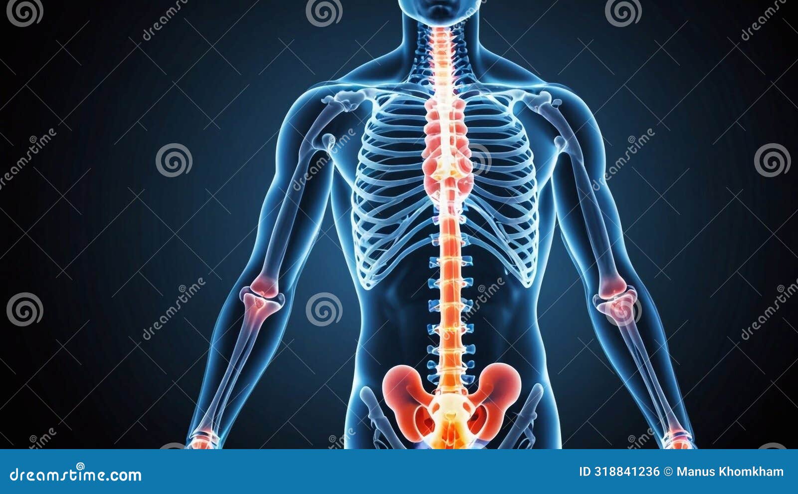 X-ray Body Anatomy Generate Ai Stock Illustration - Illustration of ...