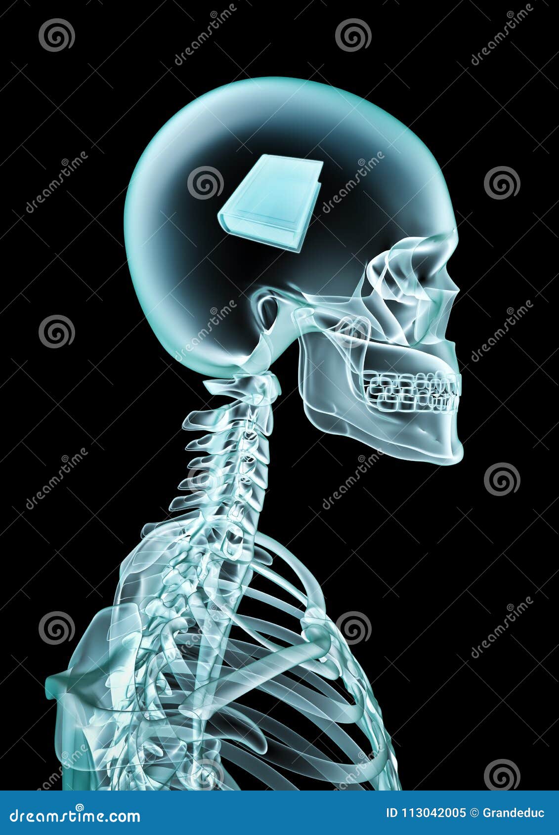X-ray book lover stock illustration. Illustration of lover - 113042005