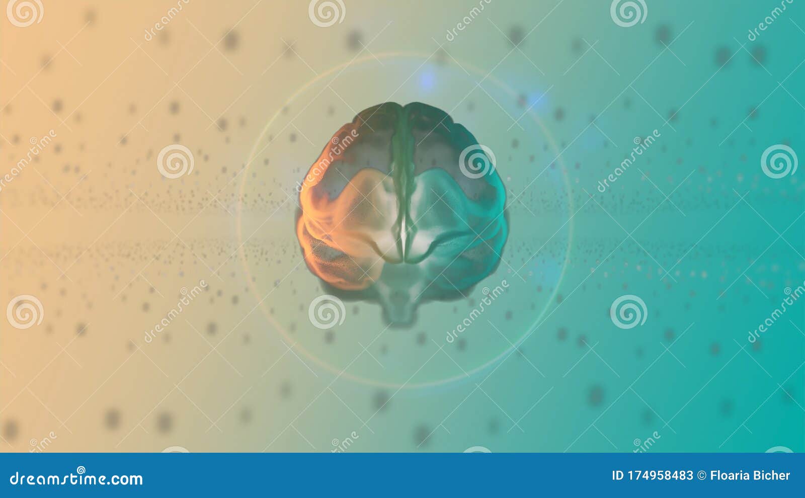3d Render Computed Medical Tomography MRI Scan Of Human Brain Over ...