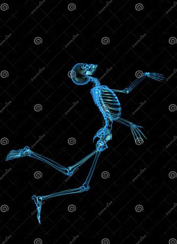 X-ray dance stock illustration. Illustration of life - 13245314
