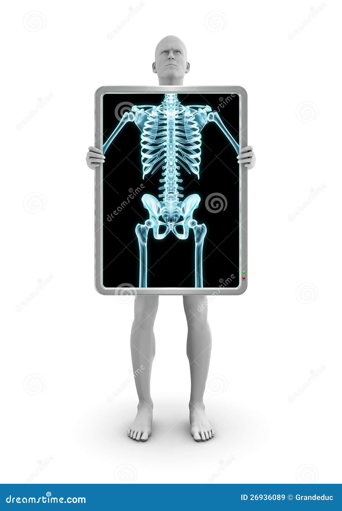X-ray dude stock illustration. Illustration of spine - 26936089