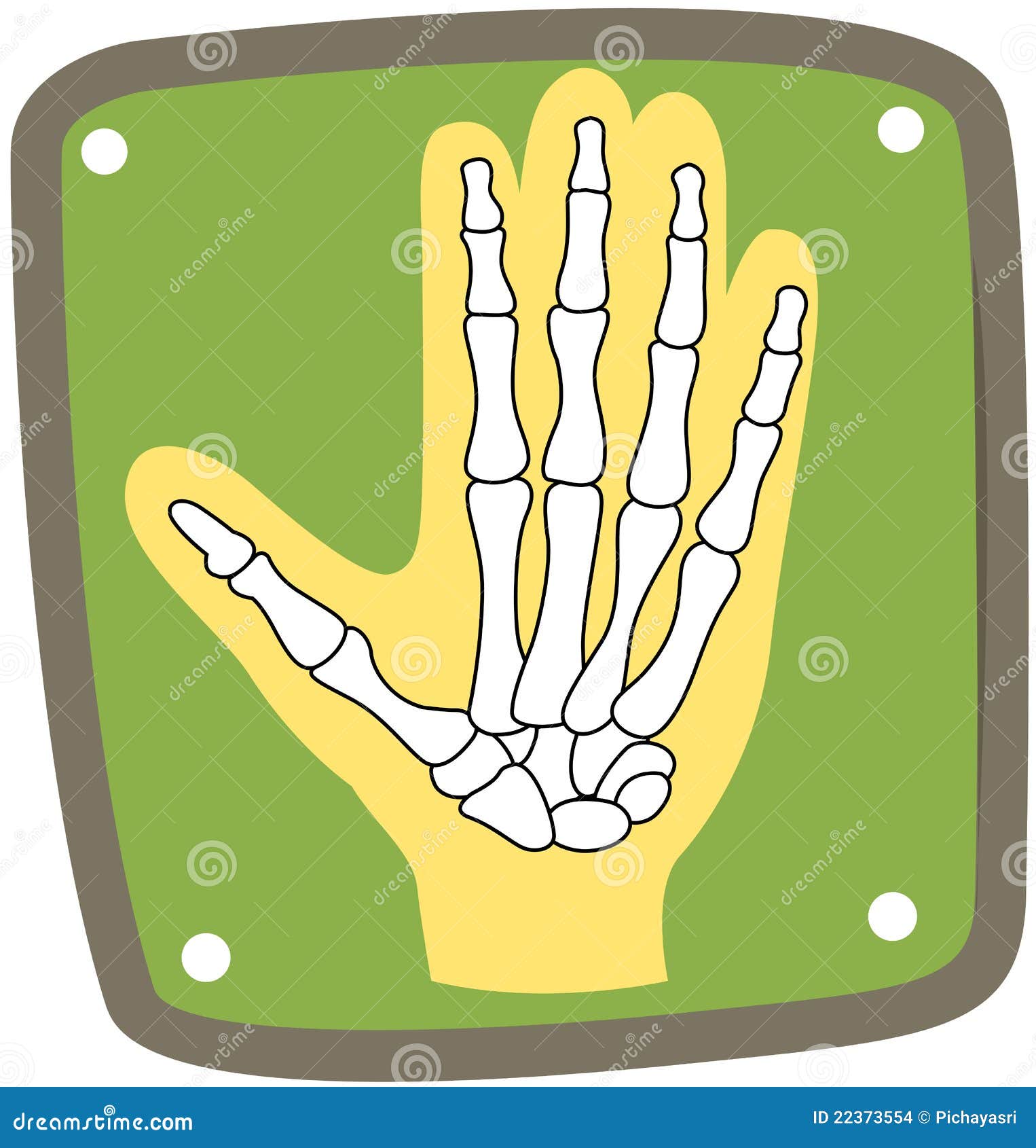 X-ray of hand stock vector. Illustration of icon, isolated - 22373554