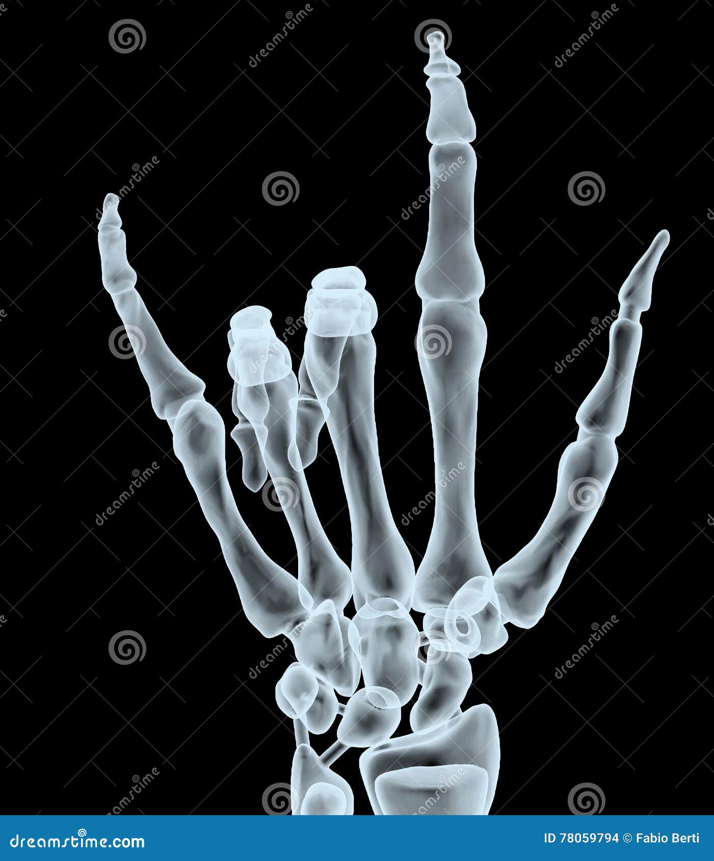 X-ray Hand Making Offensive Gesture Stock Illustration - Illustration ...