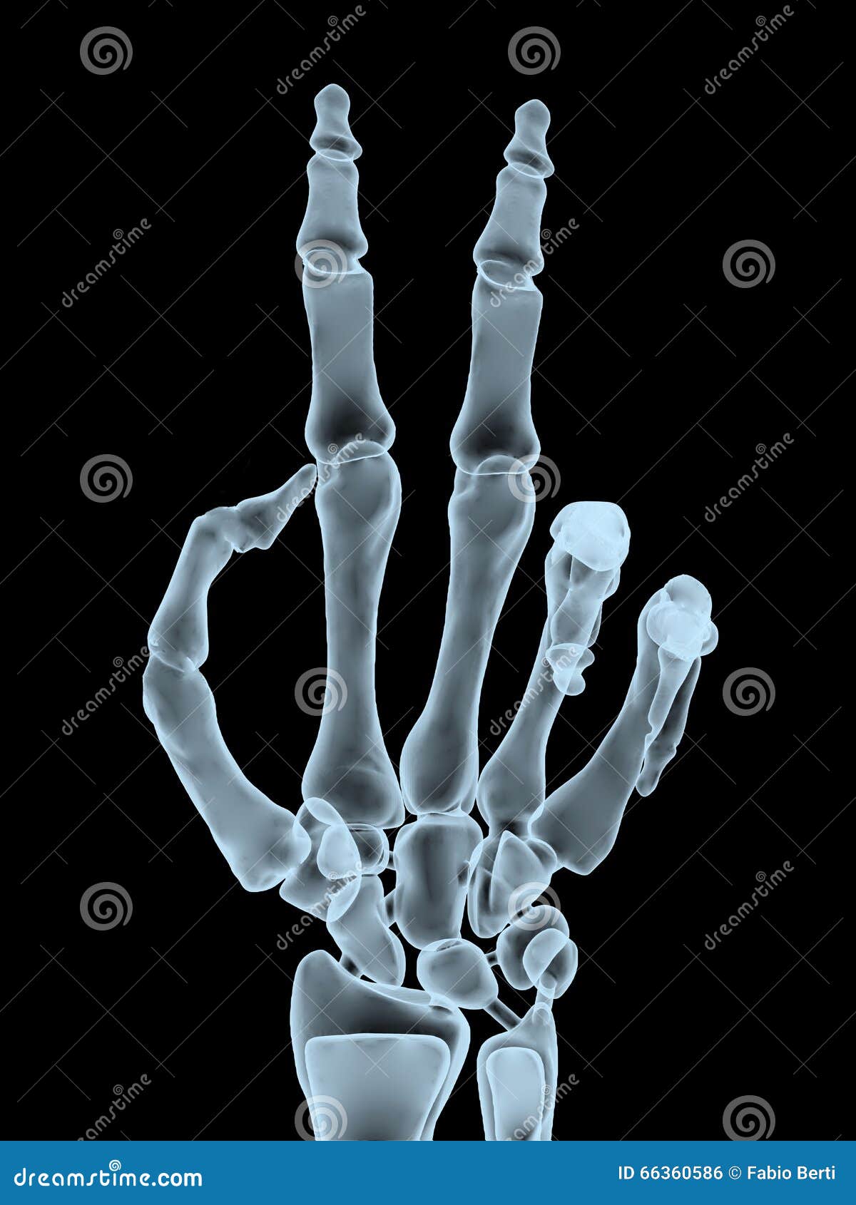 Gesture Of Contempt. Fig Symbol Isolated On Black Background. Vector ...