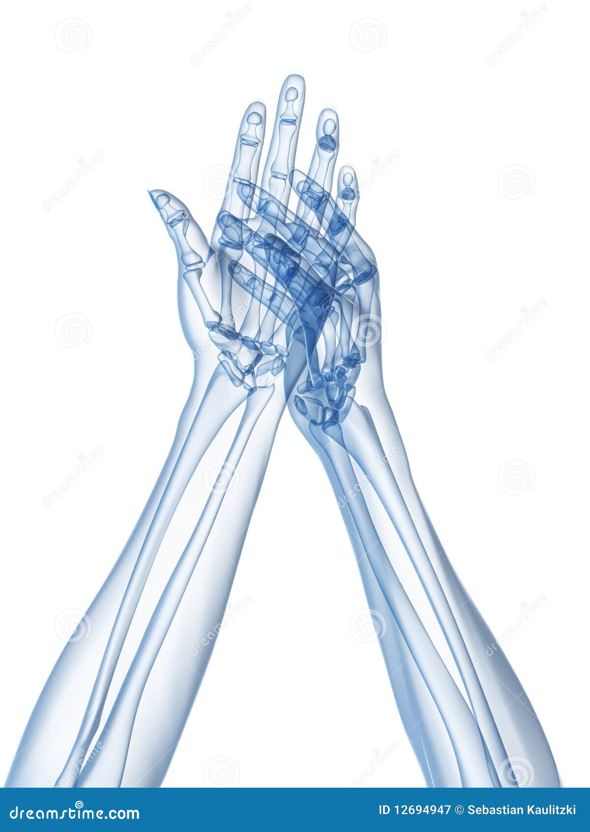 Xray Cartoon Hand