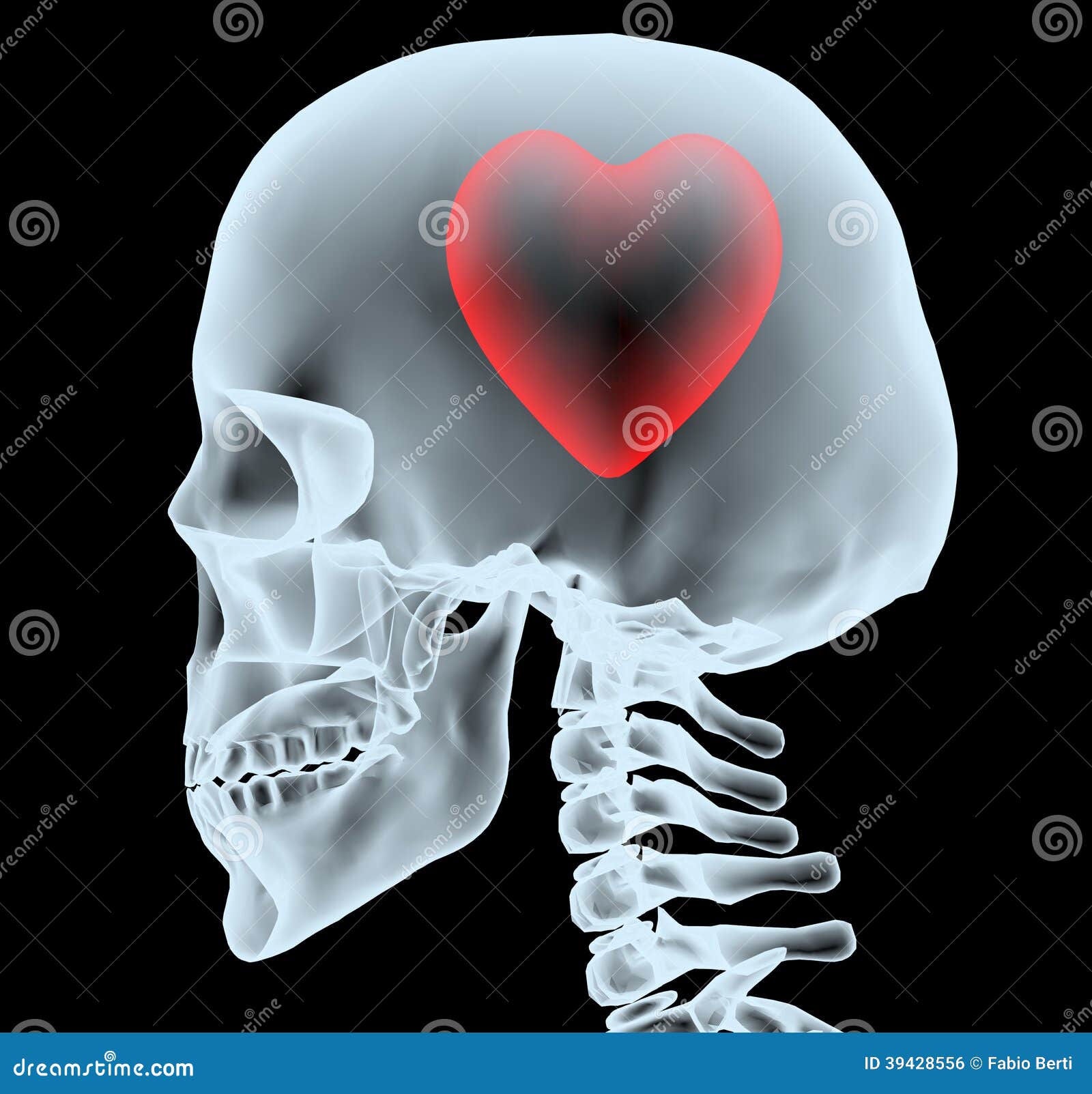 X-ray of a Head with the Heart instead of the Brain Stock Illustration ...