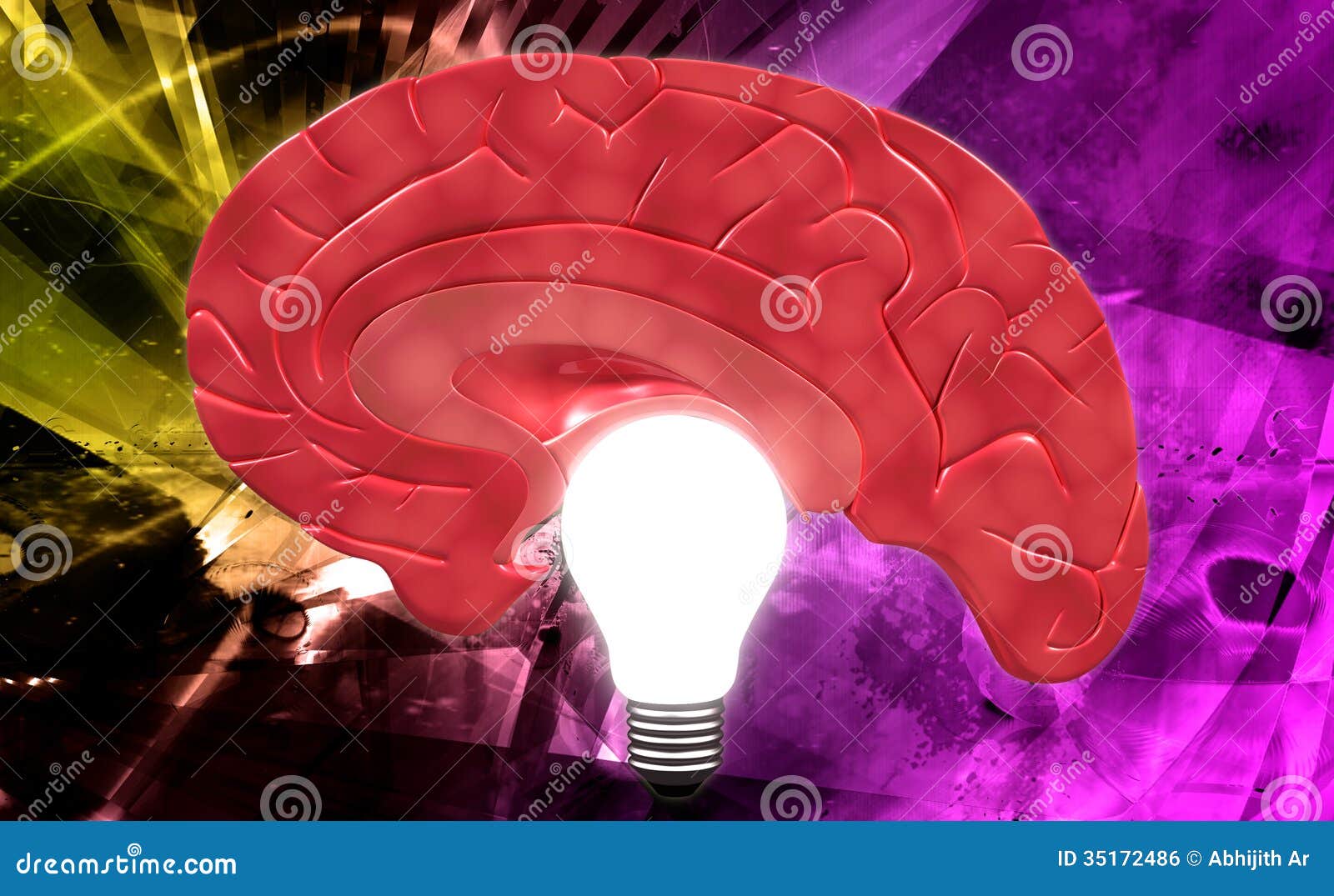 X- Ray Human Brain Top View Stock Photo - Image of lines, closeup: 35172486
