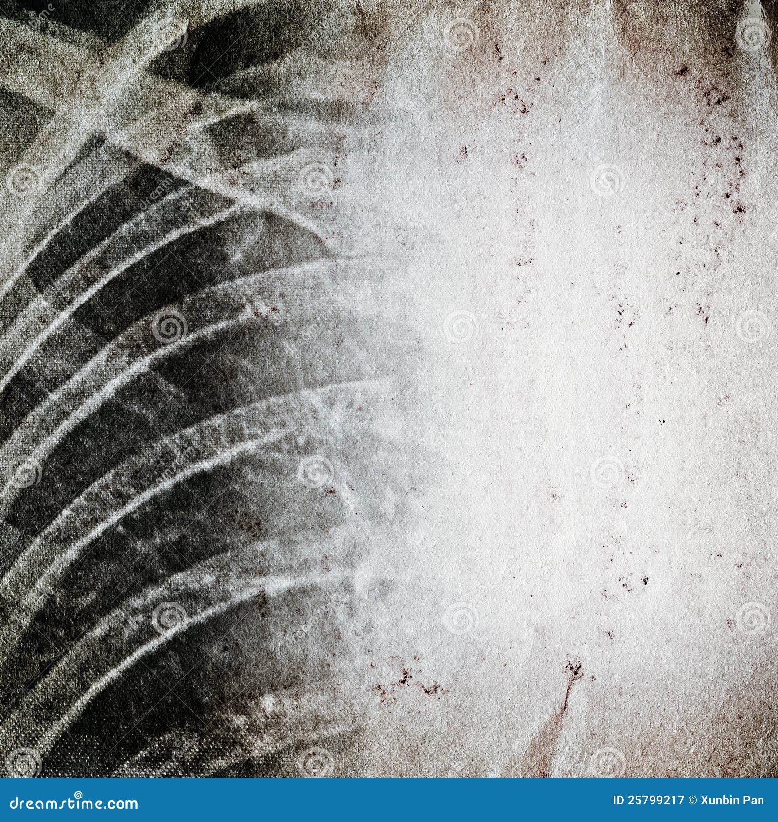 Grunge Human Anatomy Stock Image | CartoonDealer.com #23103157