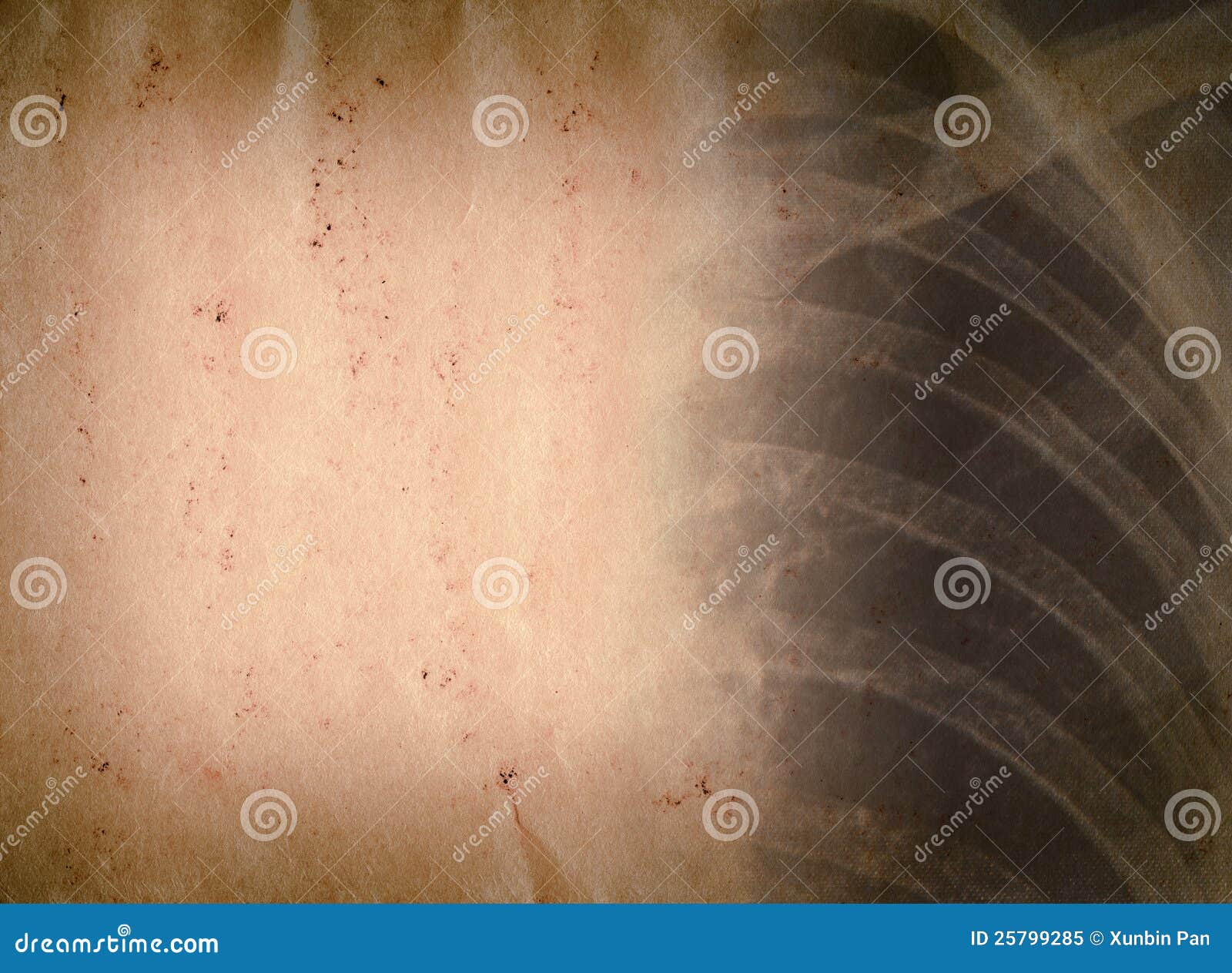 Grunge Human Anatomy Stock Image | CartoonDealer.com #23103157