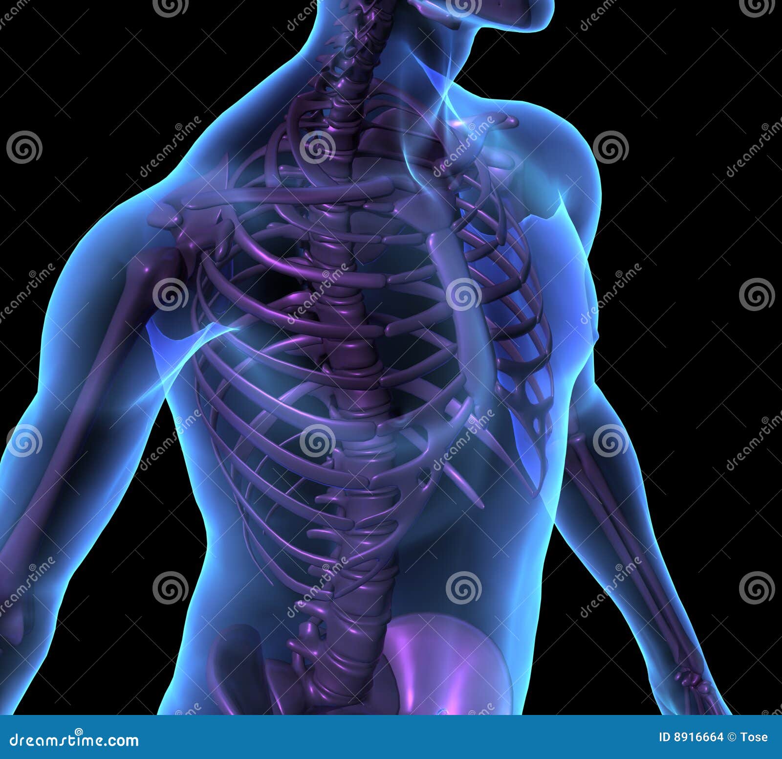 X-ray Illustration Male Human Body and Skeleton Stock Illustration ...