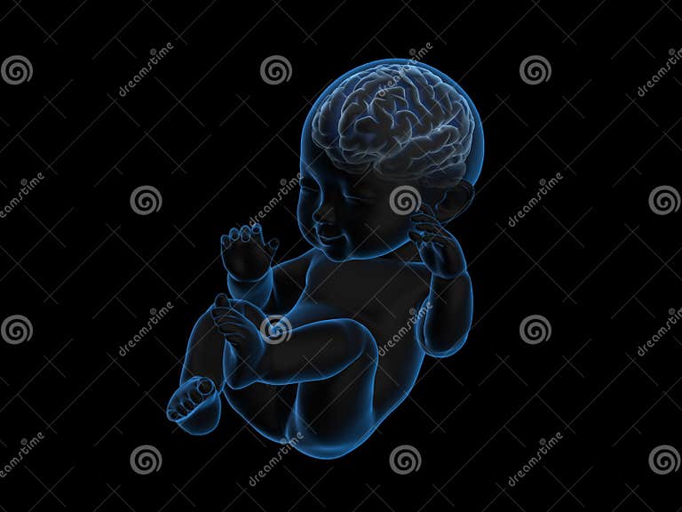 X-ray Image of Baby with a Brain Inside. Stock Illustration ...