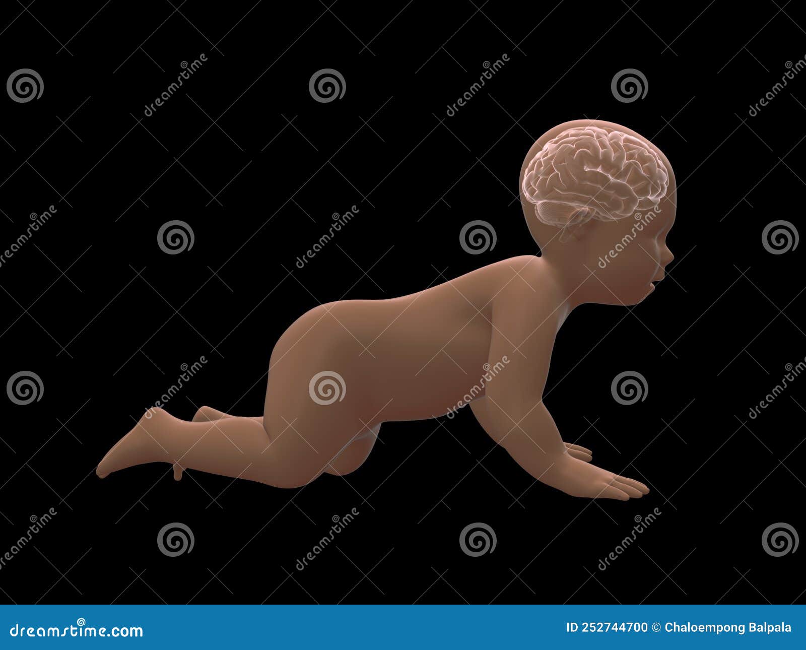 X-ray Image of Crawling Baby with Brain Inside.3D Rendering Stock ...