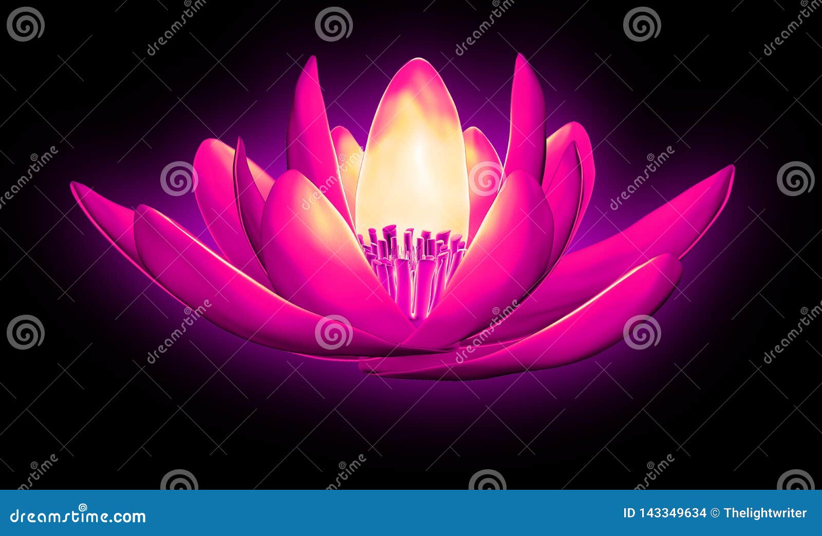 X-ray Image of a Flower Isolated on Black, the Lotus 3d Illustration ...
