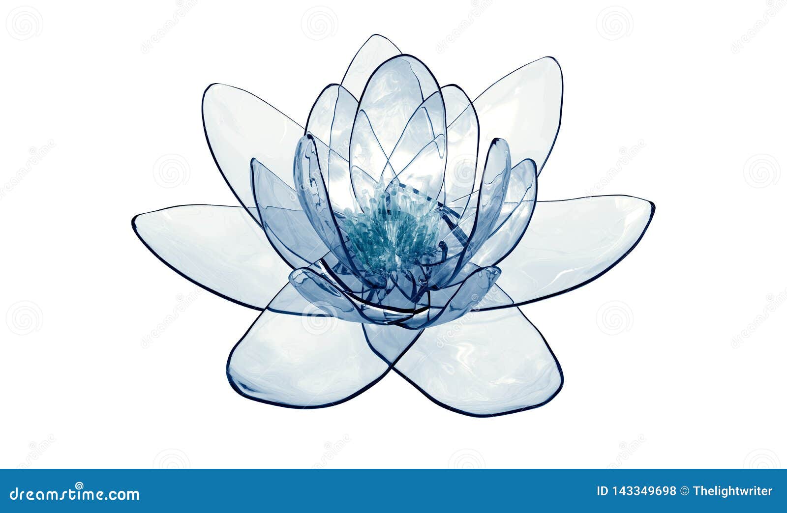 X-ray Image of a Flower Isolated on White, the Lotus 3d Illustration ...