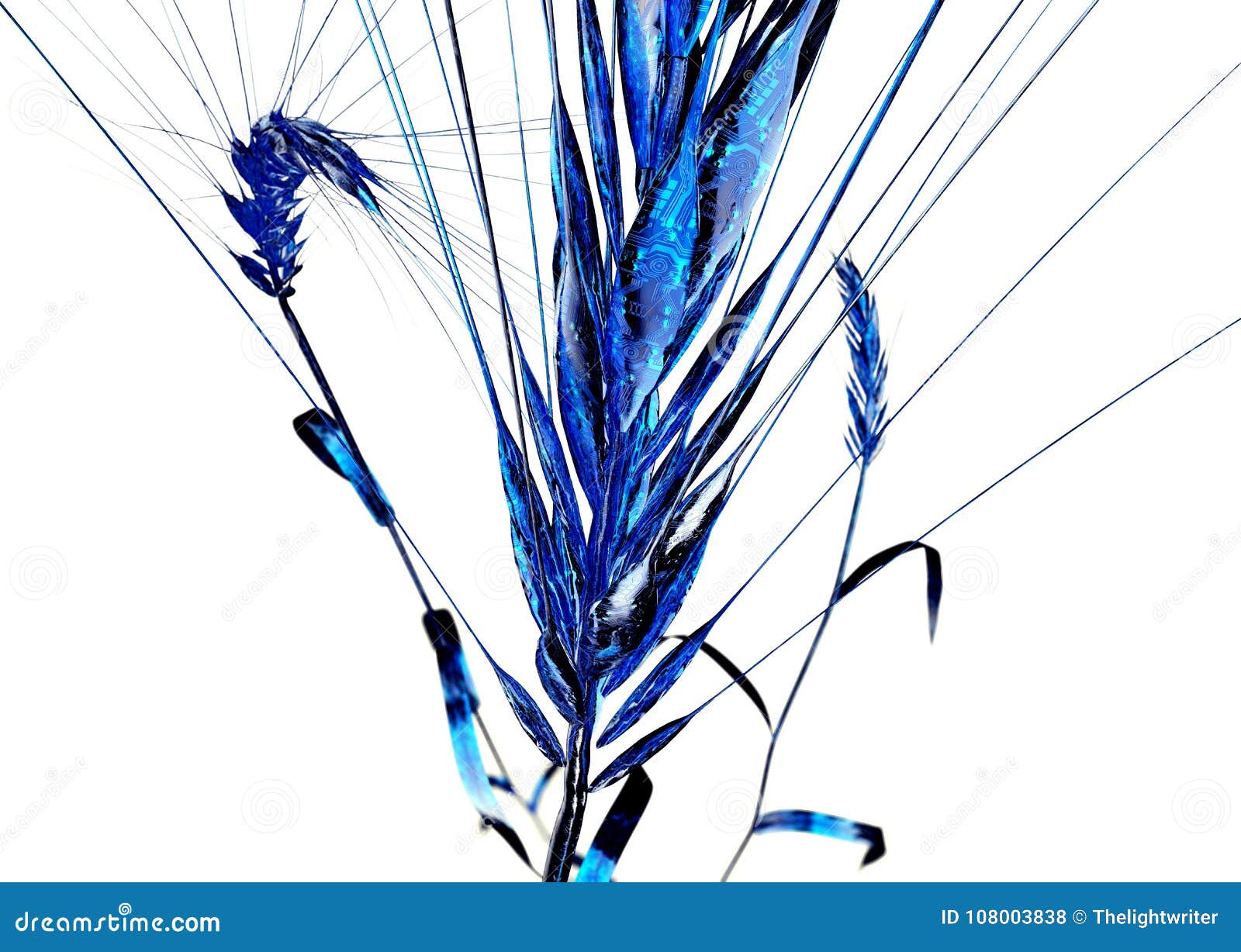 X-ray Image of a Flower on White , the Lily Stock Illustration ...