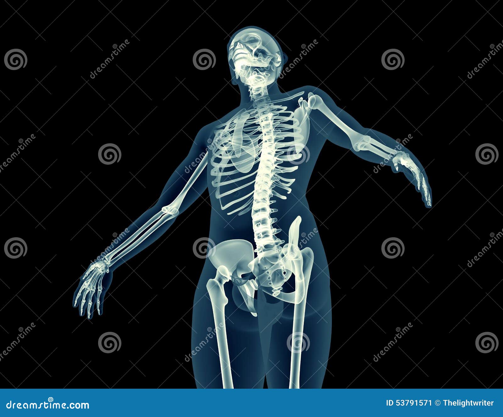 X-ray Image of a Human Body Stock Illustration - Illustration of joint ...