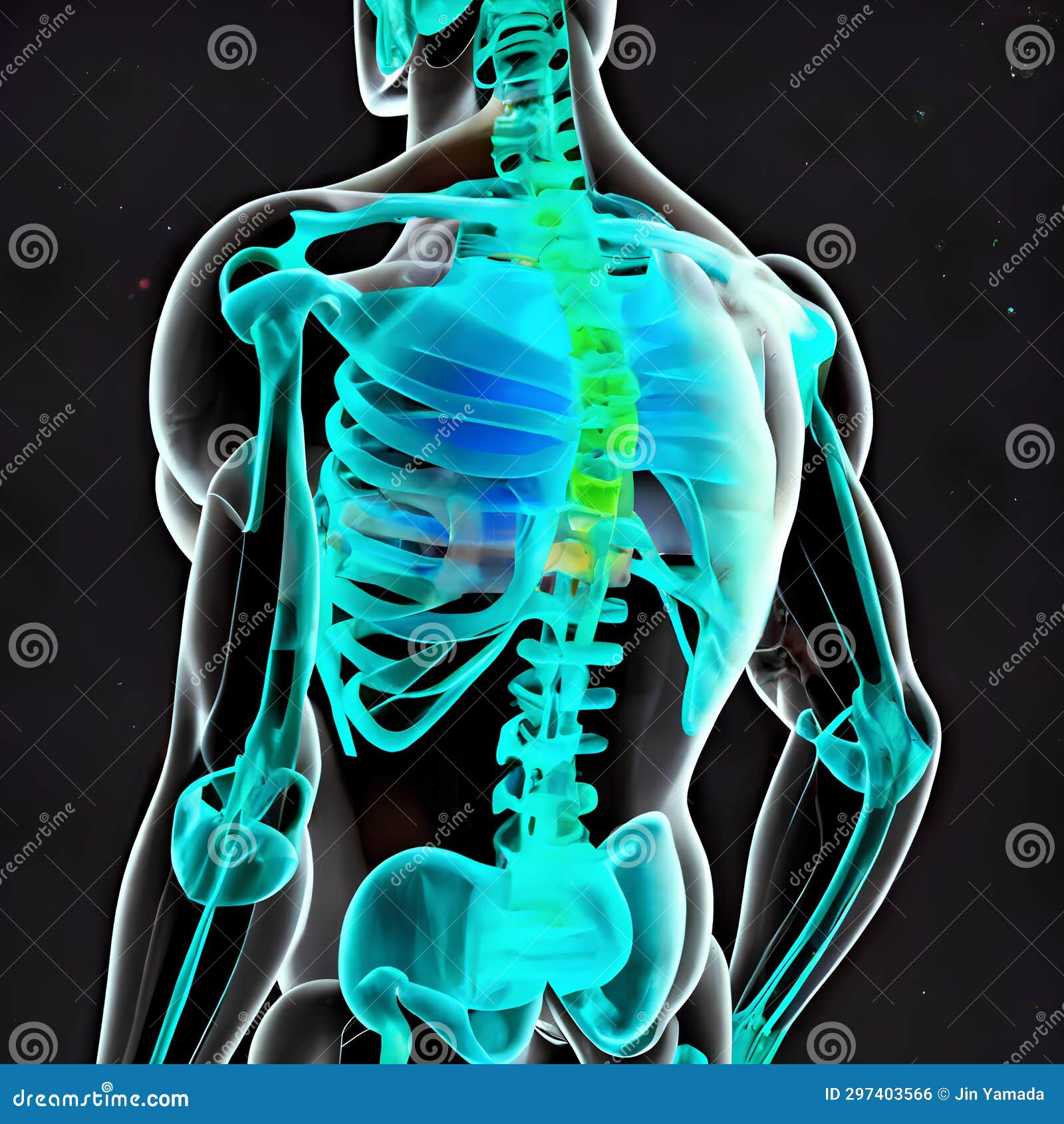 X-Ray Image of Human Body with Visible Skeleton. 3D Rendering Stock ...