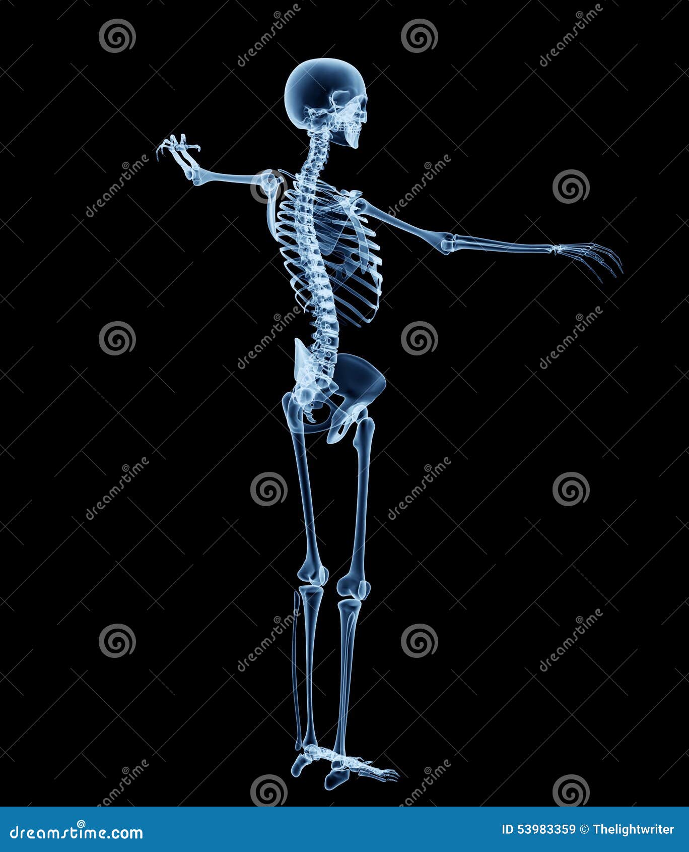 X-ray Image of a Man Isolated on Black Stock Illustration ...
