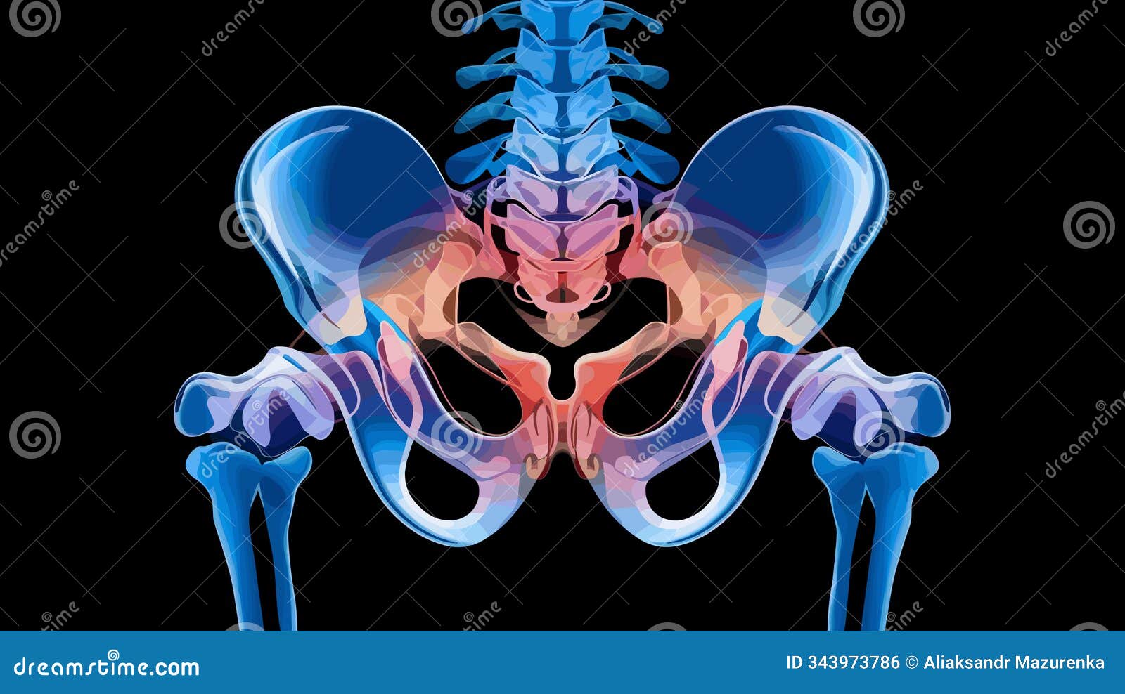 An X-ray Image Providing A Clear View Of The Skeletal Framework Of The Human Lower Anatomy ...