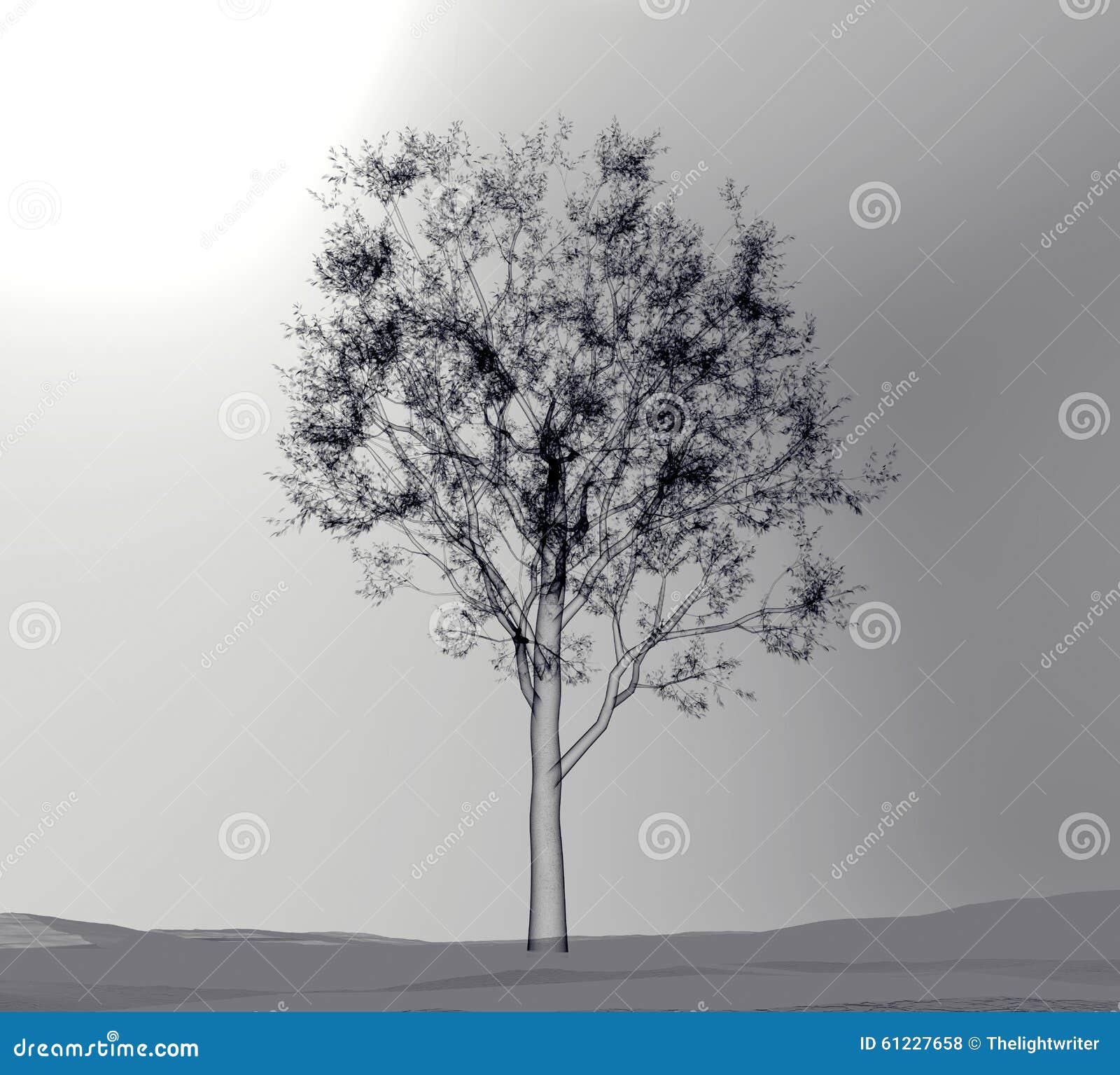 X-ray Image of a Tree Isolated on Grey Stock Illustration ...
