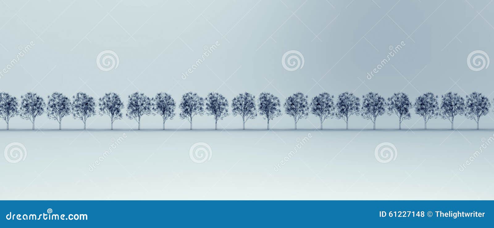 X-ray Image of Tree S Isolated Stock Illustration - Illustration of ...