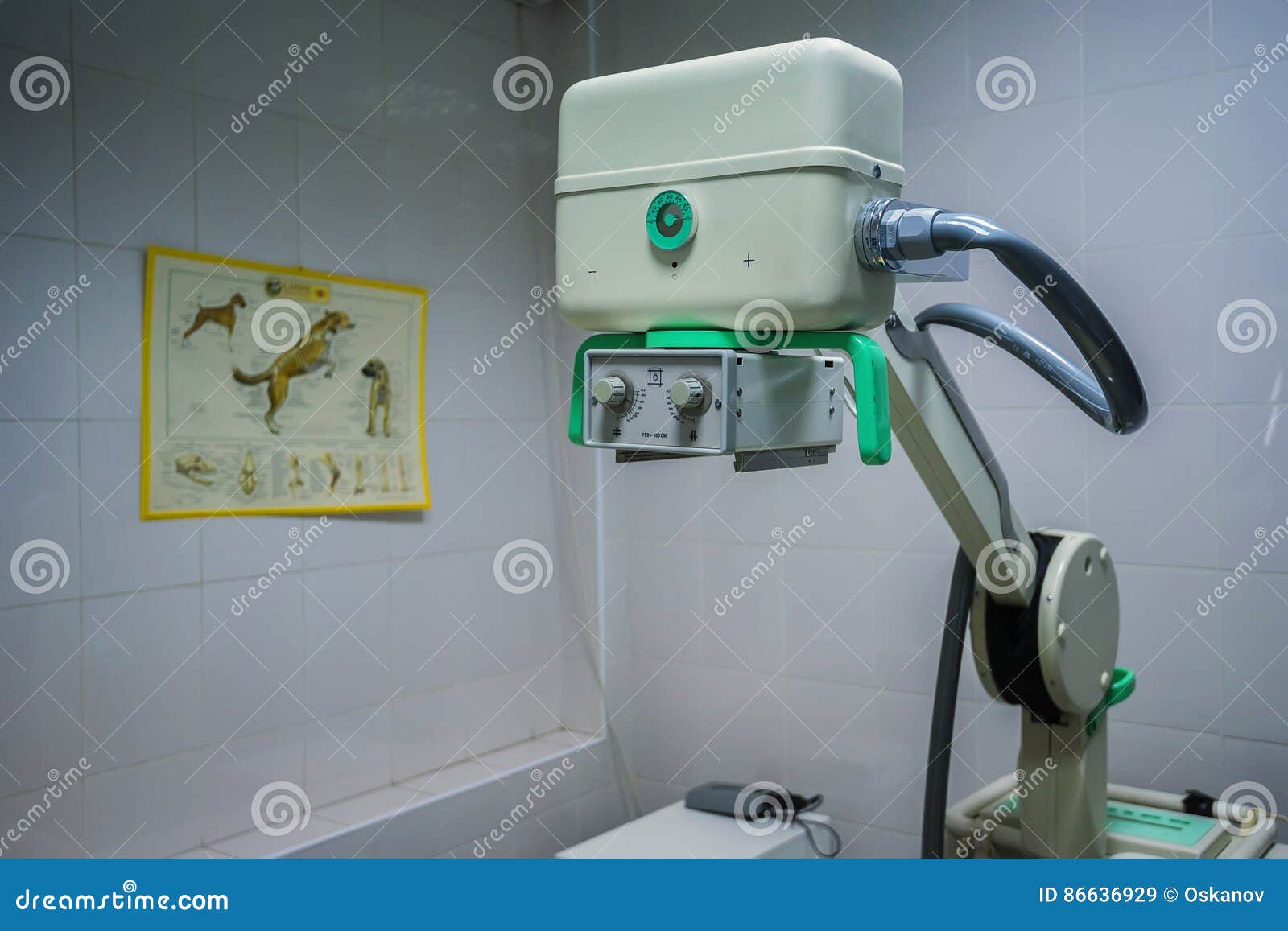 X-ray Machine in Veterinary Hospital Stock Image - Image of emergency ...