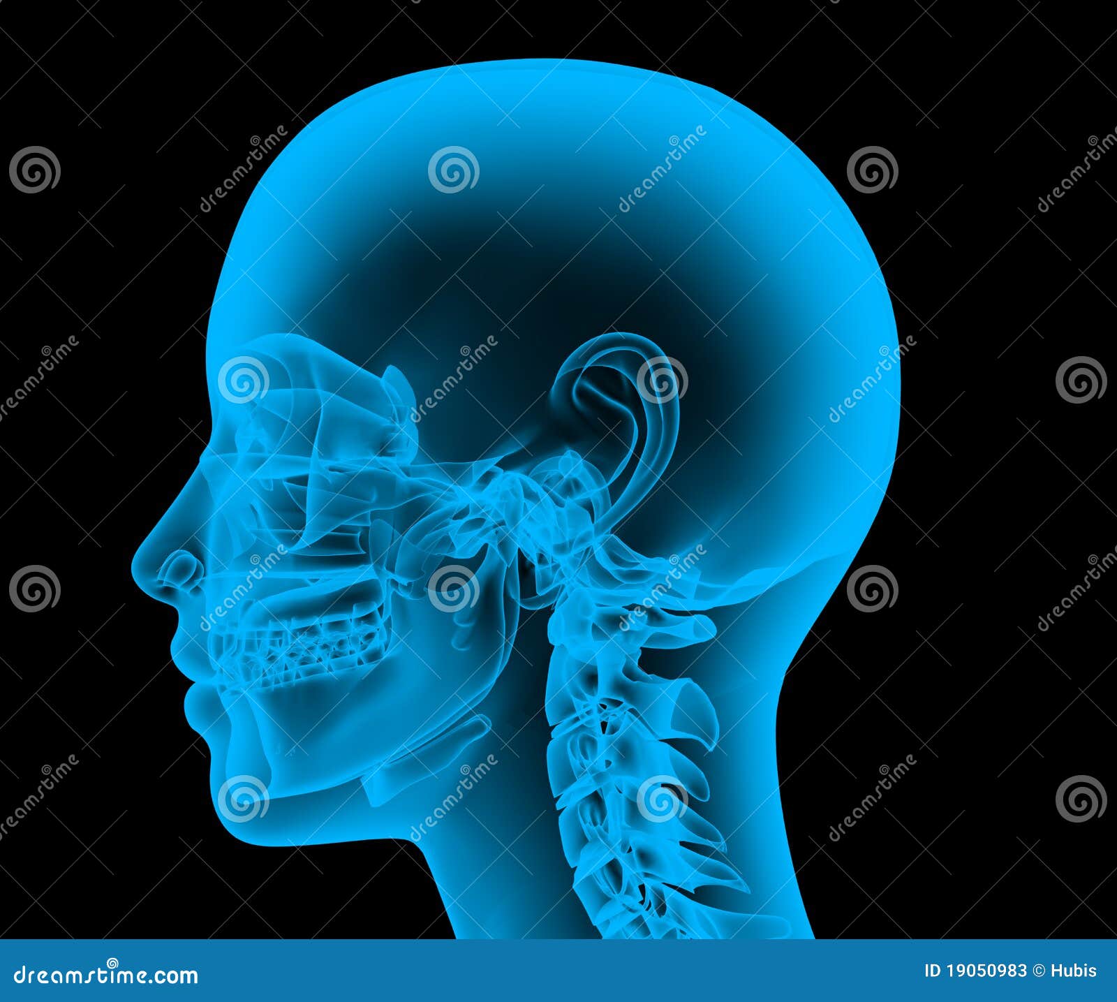 X-Ray of a male skeleton stock illustration. Illustration of reflect ...