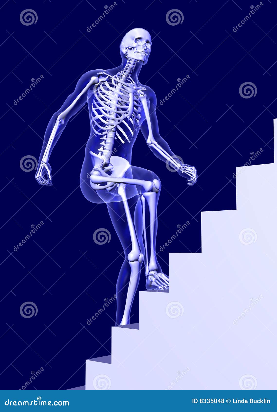 X-Ray Man Climbing Stairs stock illustration. Illustration of climbing ...