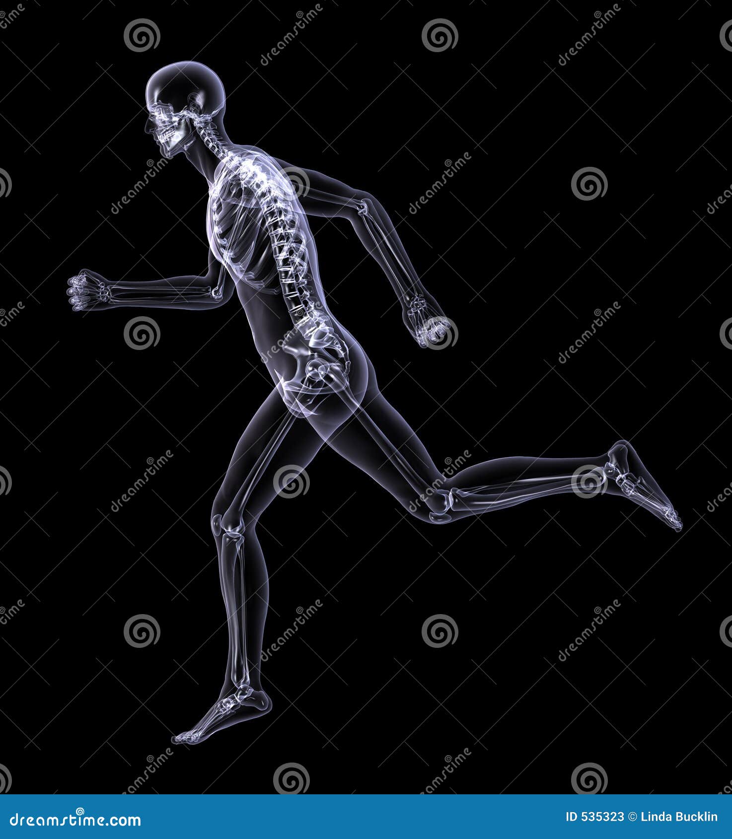 X-Ray Man Running - Side View - with Clipping Path Stock Illustration ...