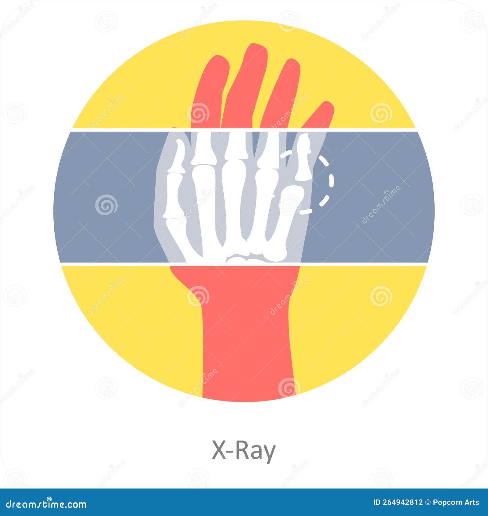 X-Ray stock vector. Illustration of icon, concept, vector - 264942812