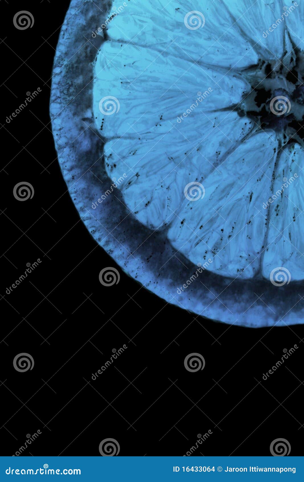 X-ray orange slice stock photo. Image of radiography - 16433064