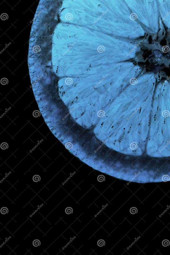 X-ray orange slice stock photo. Image of radiography - 16433064