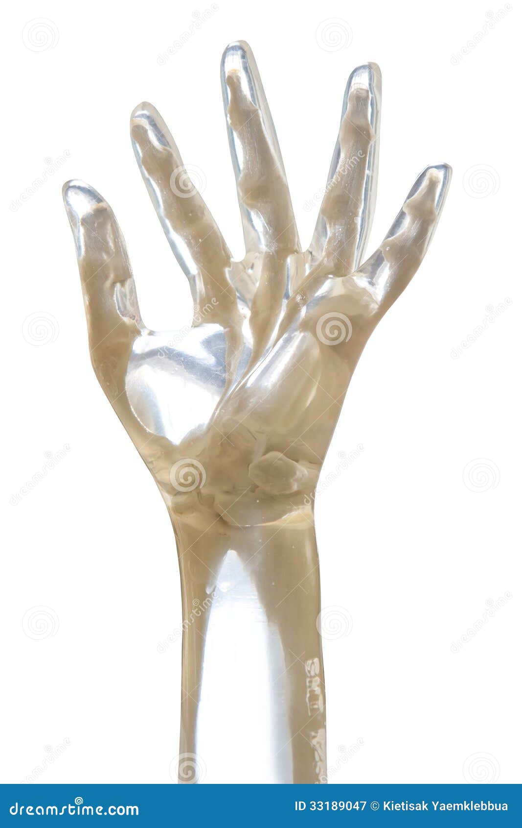 X-Ray Phantom hand stock image. Image of healthcare, white - 33189047