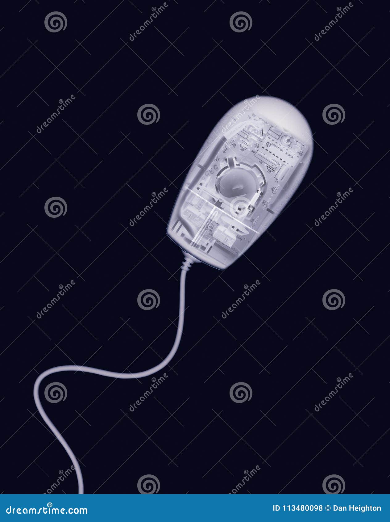 X RAY PHOTOGRAPHIC IMAGE of COMPUTER MOUSE on BLACK BACKGROUND Stock ...