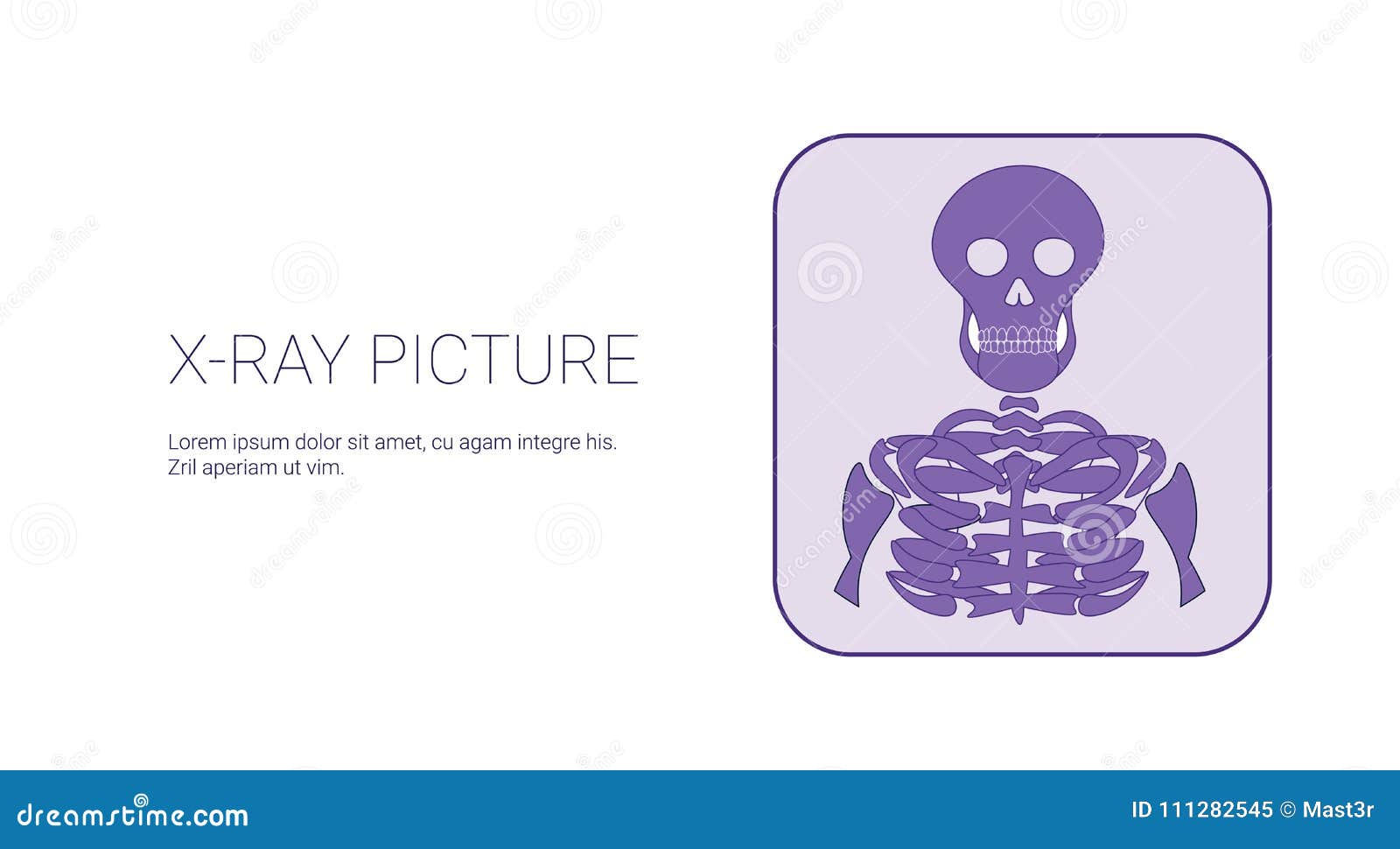 X Ray Picture Image Template Web Banner with Copy Space Stock Vector ...