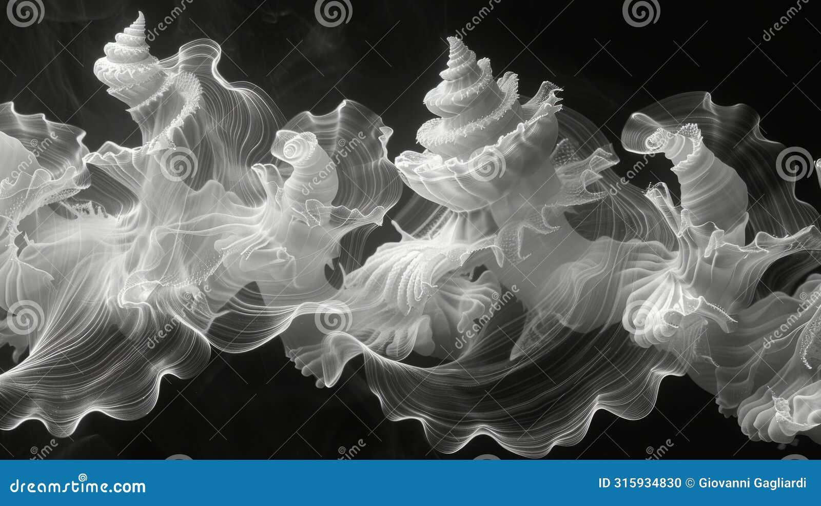 X-ray Scan of a Pile of Seashells, Revealing the Shapes and Patterns of ...