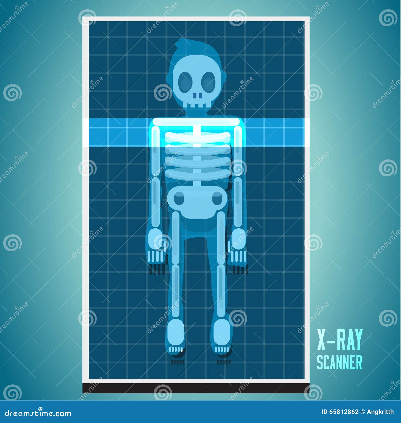 X-ray Scanning on Human Body. Skeleton - Stock Illustration ...