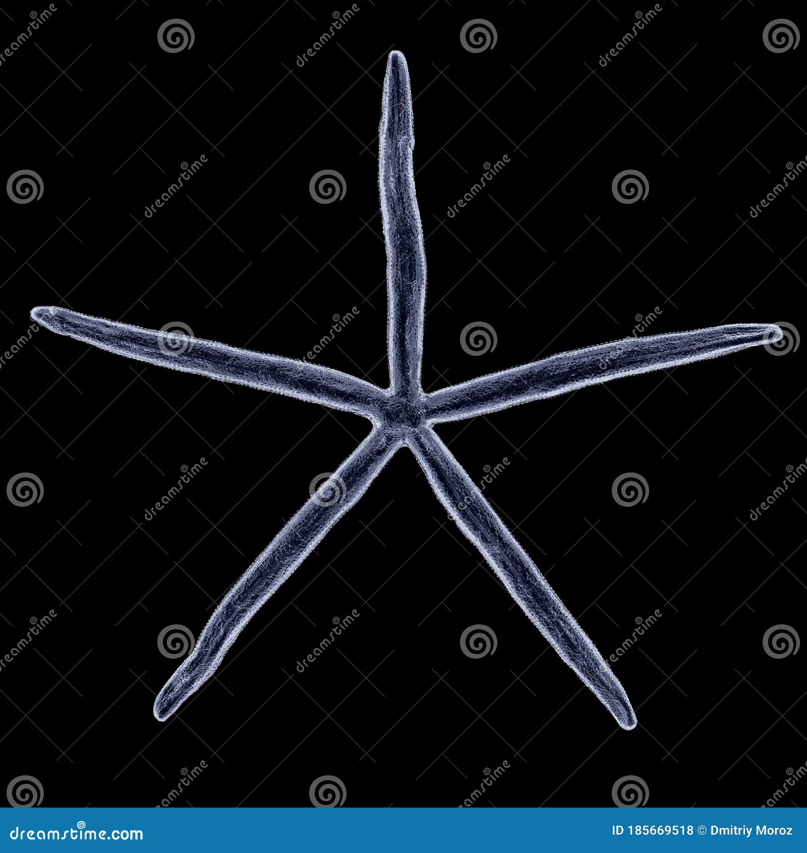 X-ray sea star isolated stock illustration. Illustration of scanning ...