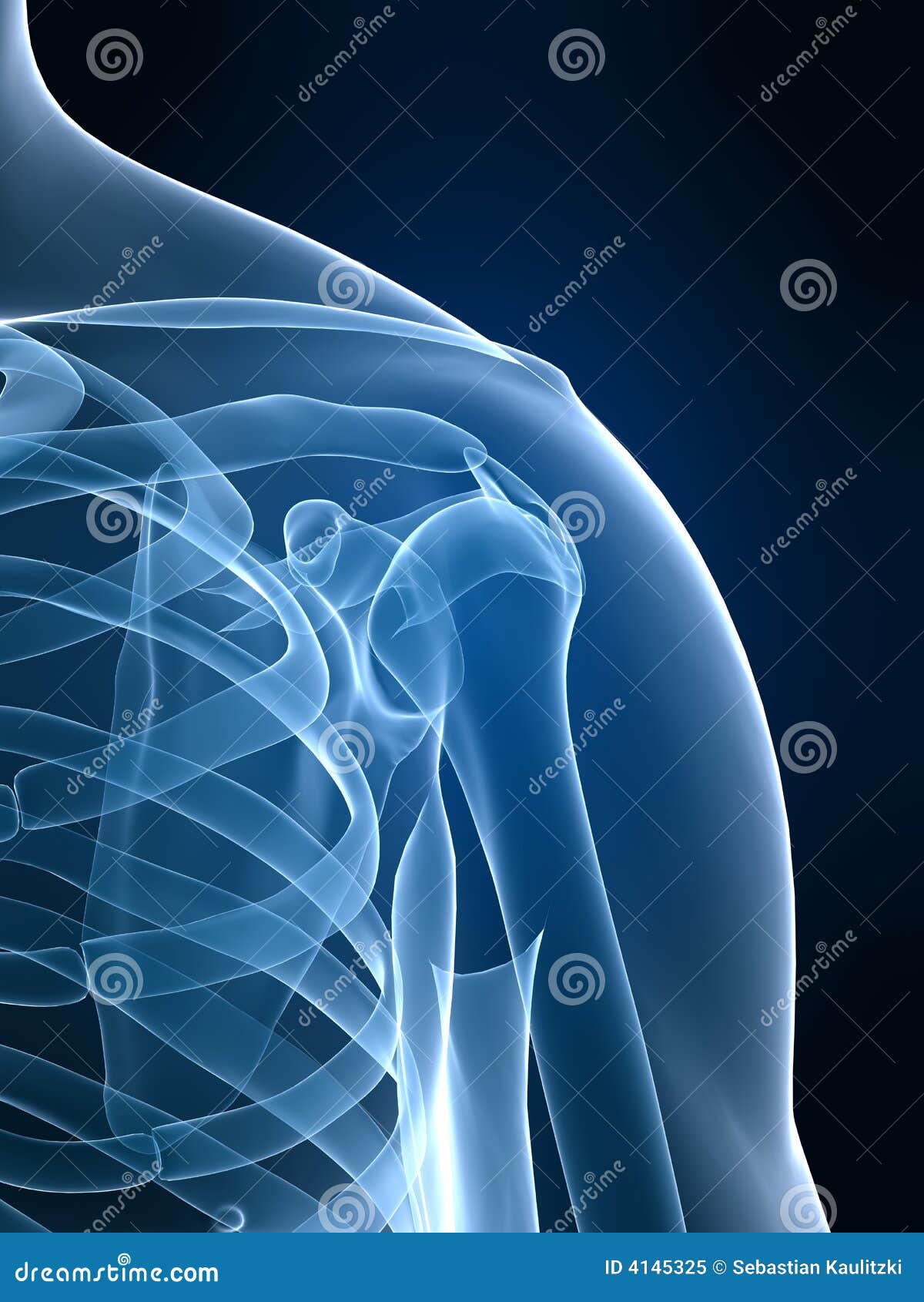X-ray shoulder stock illustration. Illustration of torso - 4145325
