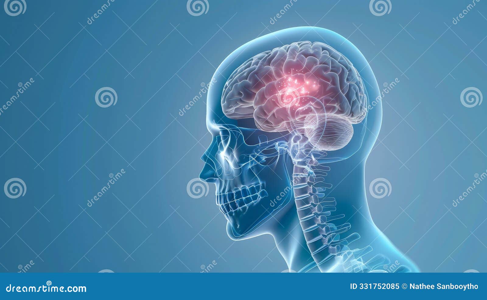 X-ray Side View of Human Brain Stock Illustration - Illustration of ...
