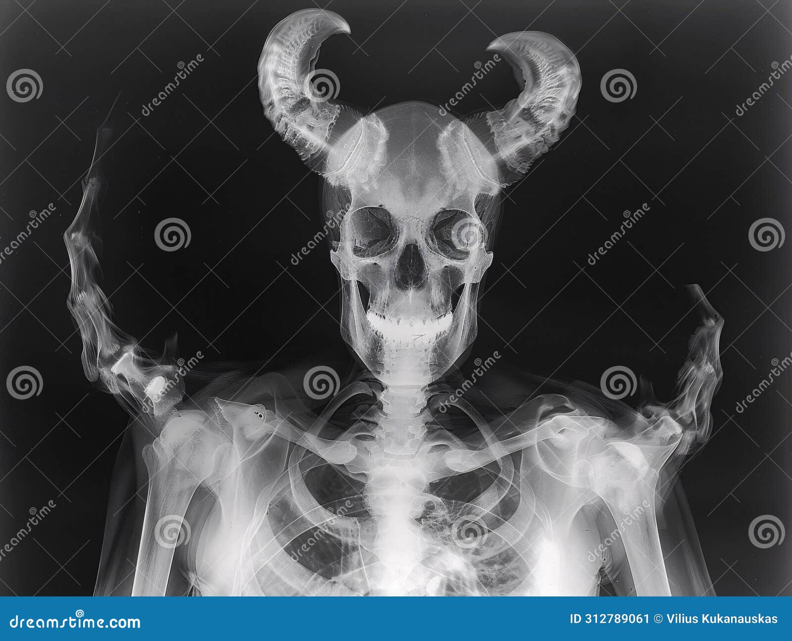 X-ray of a Skeletal Demon Haunting, Halloween Stock Illustration ...