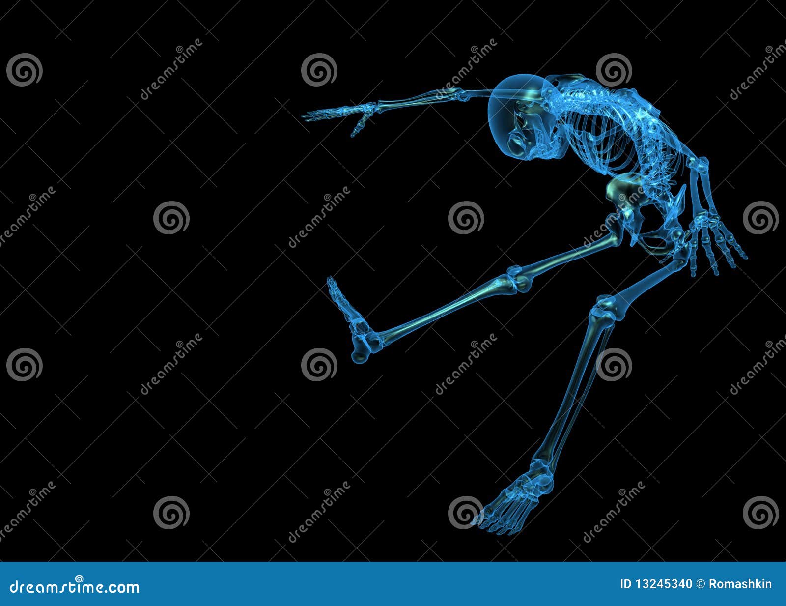 X Ray Skeleton