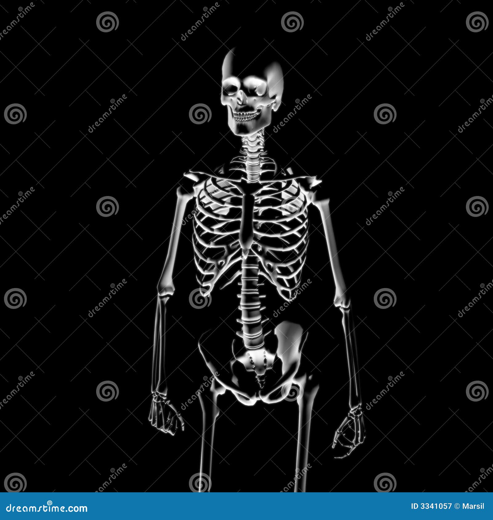 X Ray Skeleton Cartoon